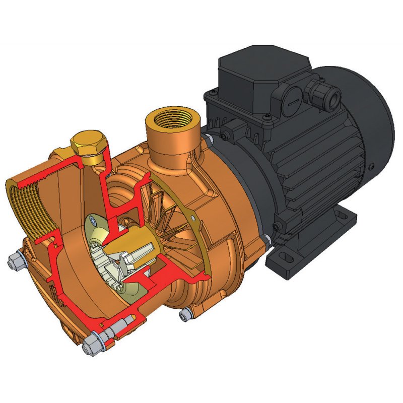 Electropompe modèle AT25EM24VCC Forani & Pecorari AT250